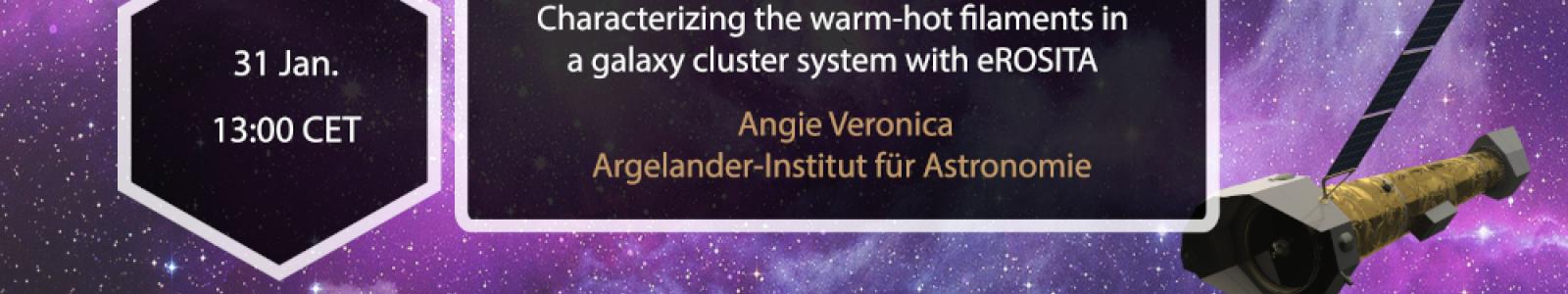 Athena X-ray Advances series: webinar by Angie Veronica | Athena X-ray ...